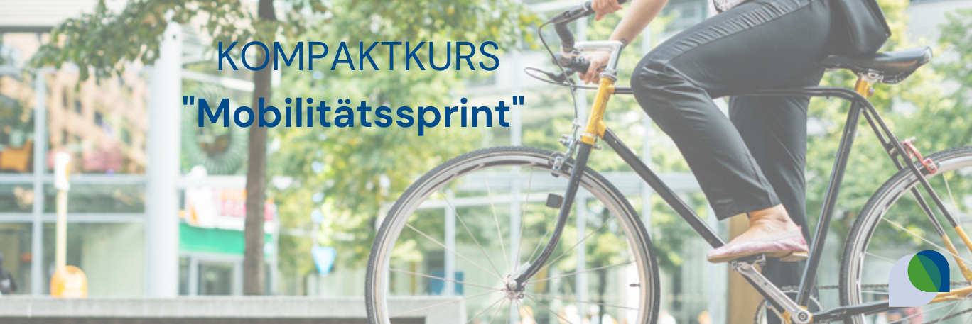 MOBILITÄTSSPRINT MODUL C: Fuhrpark und Logistik - Unternehmensnetzwerk ...